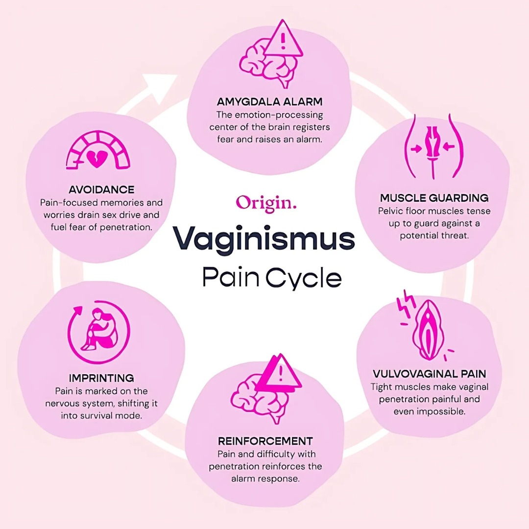 What Is Vaginismus? Symptoms, Causes, and How to Find Relief - meerut ...