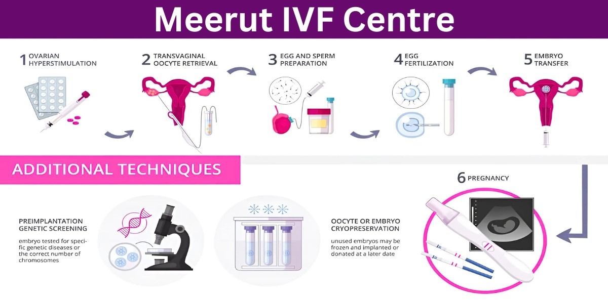 Egg Retrieval Process: What To Expect Before, During, & After - meerut ...